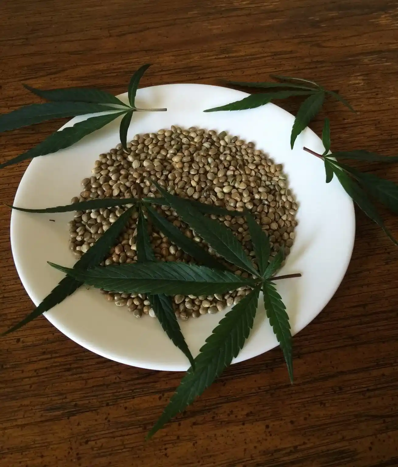 Integrating Cannabis into a Luxury Lifestyle: A Modern Guide